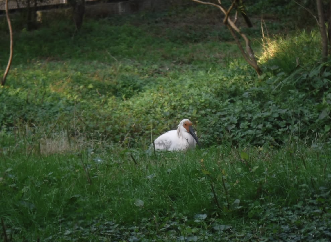 環境と地域をつなぐ新しいかたち｜JUON NETWORKの取り組み - ななめうえトラベル