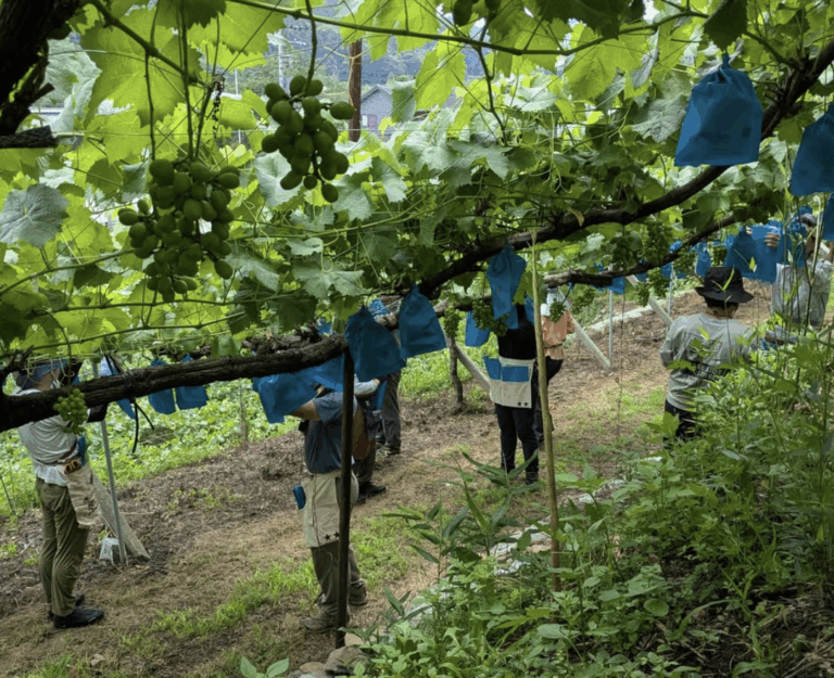 環境と地域をつなぐ新しいかたち｜JUON NETWORKの取り組み - ななめうえトラベル